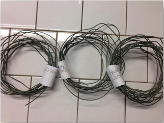Antimicrobial filaments for FDM 3D printing - 3D@UniPV